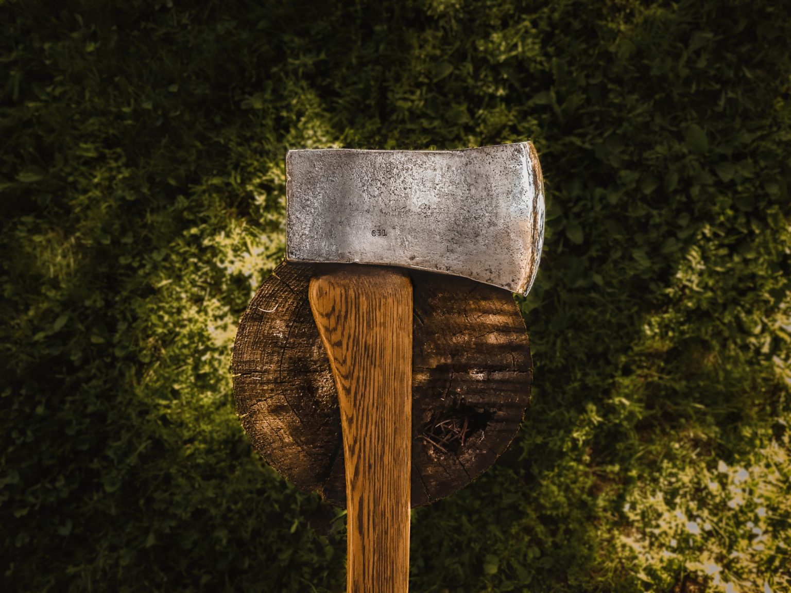Types of Axes: 20 Common Axe Types & Buying Guide