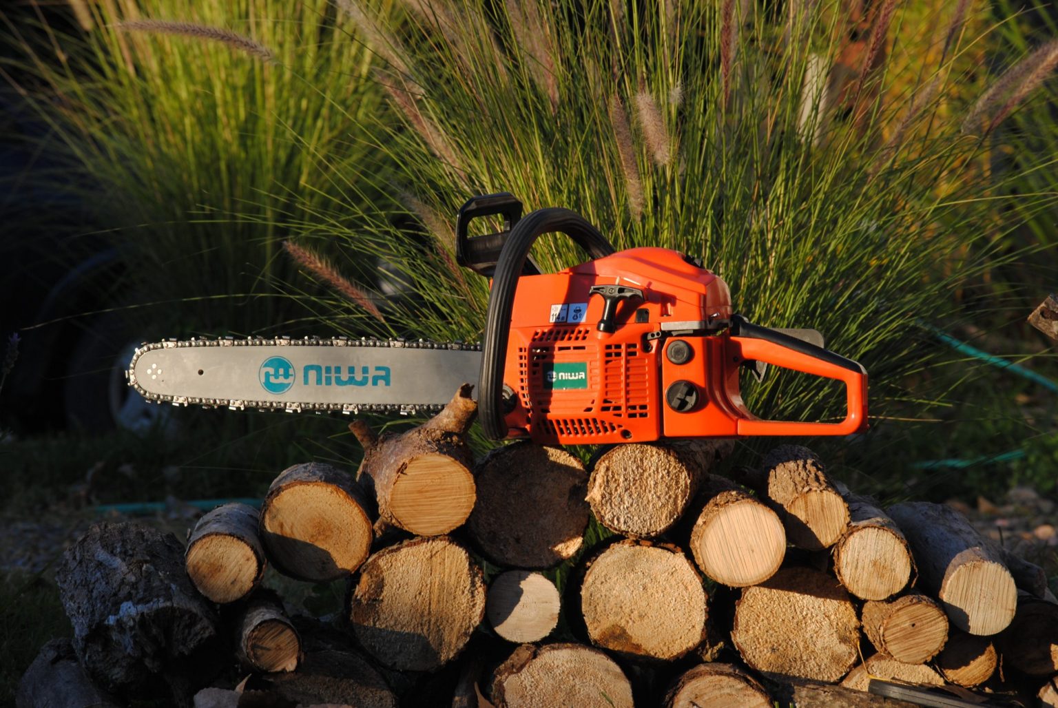 Axe vs Chainsaw - Which to Use and When; Cutting Trees, Splitting ...