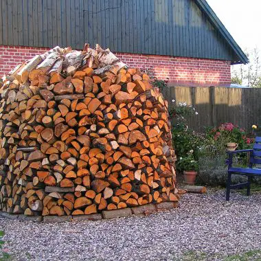 Best Trees for Firewood - The Ultimate List; Heat Value, Burn Rate ...