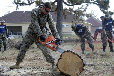 California Bans Chainsaws With Small Gas-Powered Engines - What YOU ...