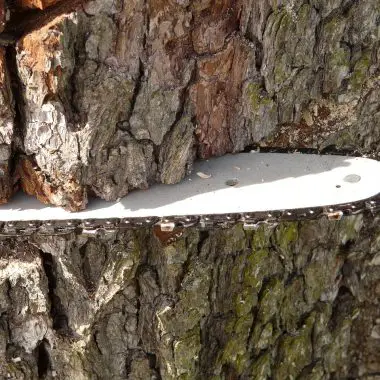 How to Port a Chainsaw for More Power - Porting Your Chainsaw GUIDE