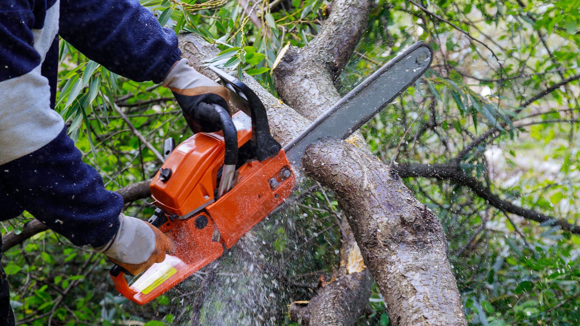 The Parts of a Chainsaw - Comprehensive Guide